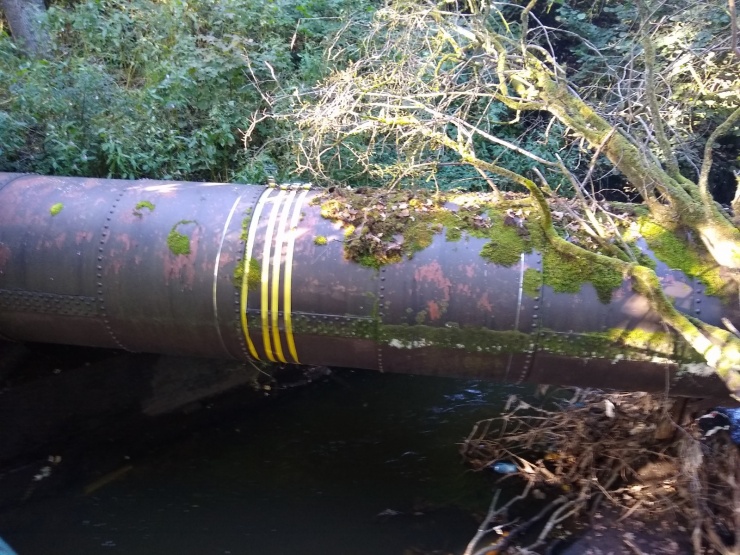 Pipe Bridges Lifespan Extension Through Leak Repair & Reinforcement