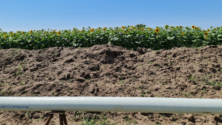 Natural Gas Pipeline Protection Before Trenchless Pipe Installation