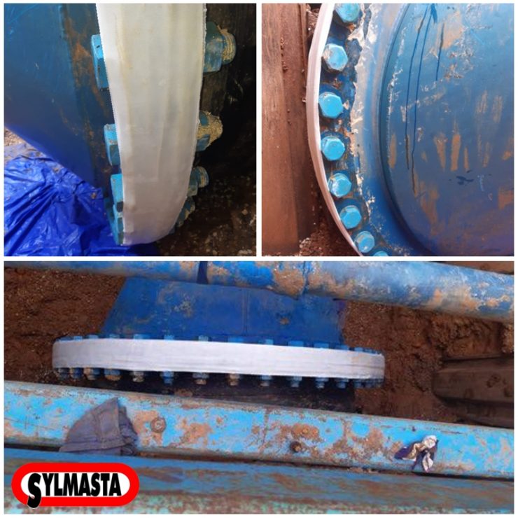 Wastewater Plant Seal Pipe Flange Against Tree Root Ingress